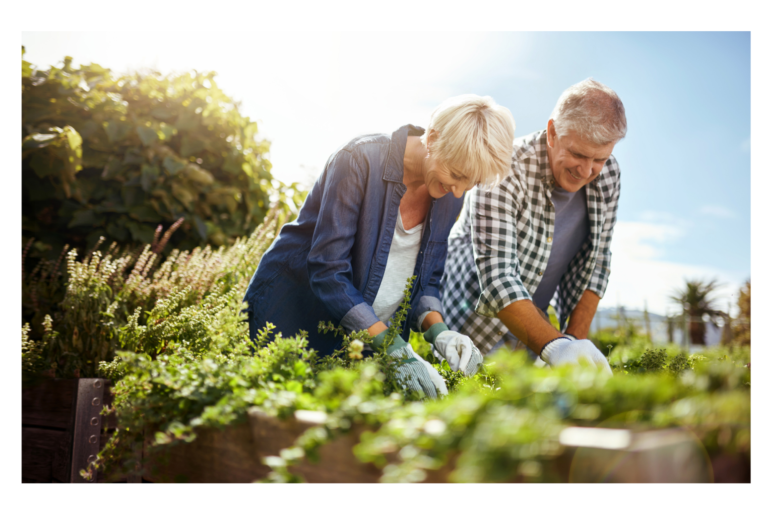 Explore the Best Hobbies for Retirees - Retiring Wisely