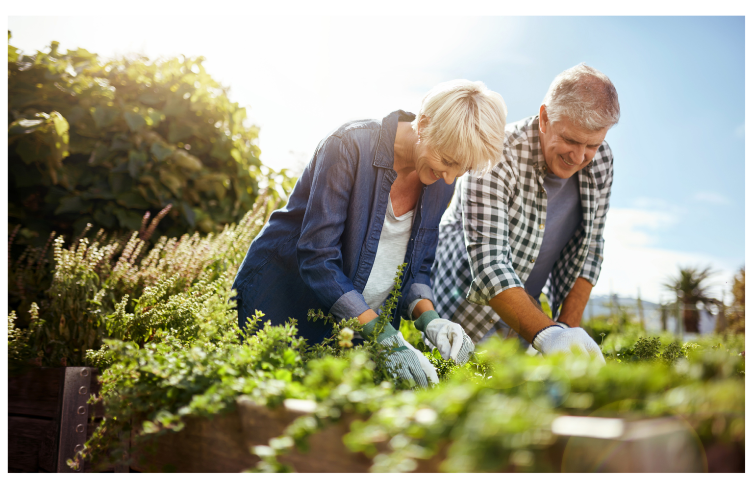Explore the Best Hobbies for Retirees - Retiring Wisely